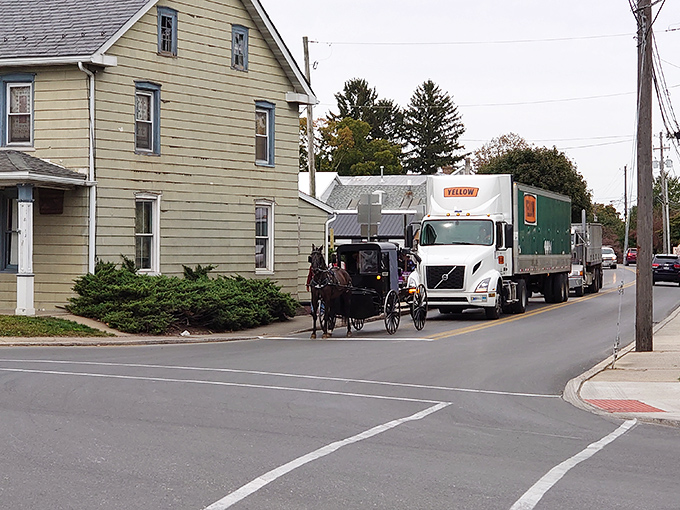 Modern delivery trucks and horse-drawn buggies share the same roads – a daily reminder of how different ways of life can coexist respectfully.