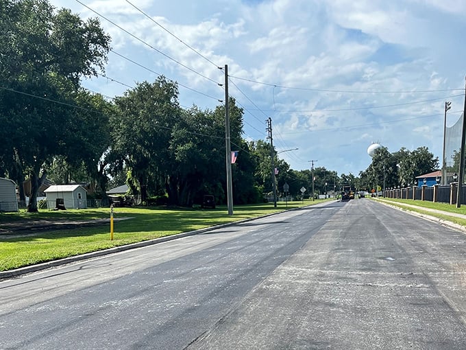 Tree-lined neighborhoods with minimal traffic – where your morning walk doesn't require Olympic-level skills to cross the street safely.