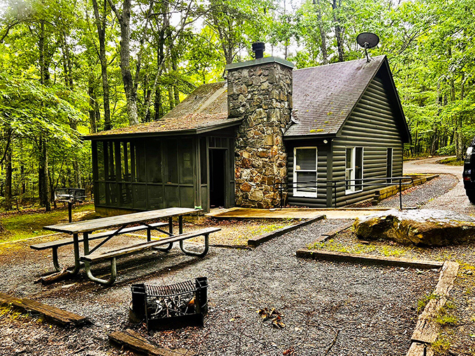 Rustic cabins with stone chimneys—where "roughing it" means possibly having to reset the Wi-Fi router while surrounded by pristine forest.