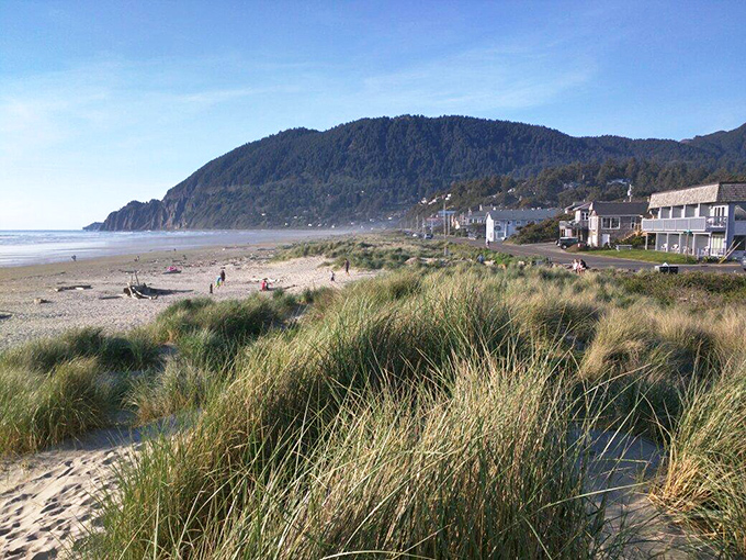 Grassy dunes lead to a peaceful stretch of beach, framed by rolling forested hills and an endless blue horizon — the kind of view no camera can truly capture.
