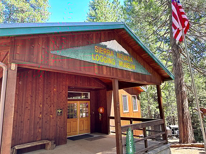 The Sierra Nevada Logging Museum tells the story of the region's timber heritage with the kind of authenticity you can't find in urban museums.