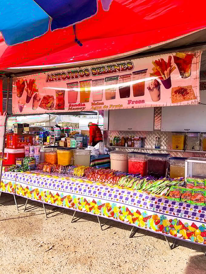 Snack attack central—where Mexican treats in technicolor glory promise sweet, sour, and spicy sensations all in one glorious bite.