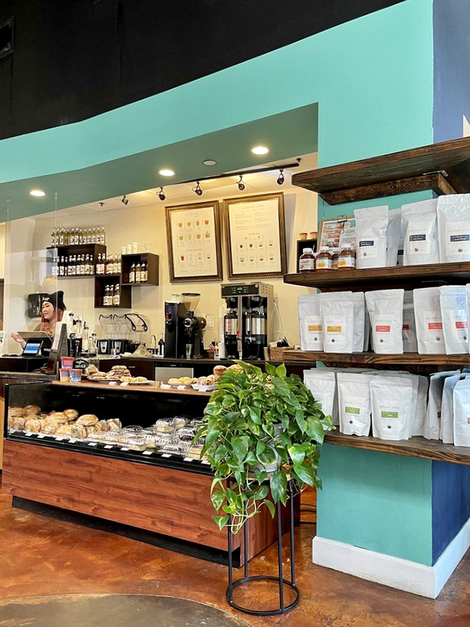 The counter where magic happens – beans become beverages and pastries tempt even the strongest-willed visitors.