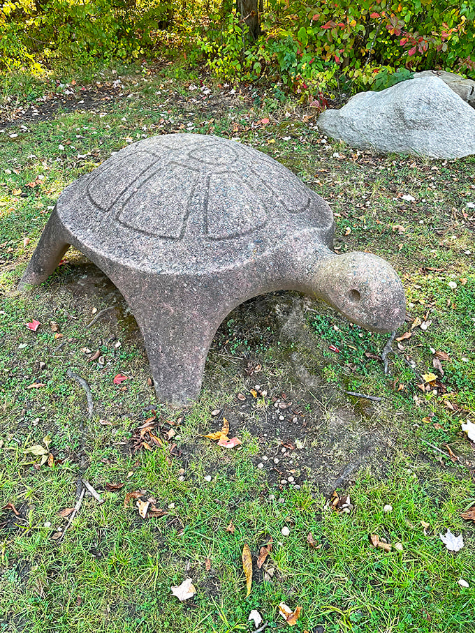 Stone turtles never rush to their destination. This whimsical sculpture reminds visitors to slow down and appreciate Hidden Lake at a reptilian pace.