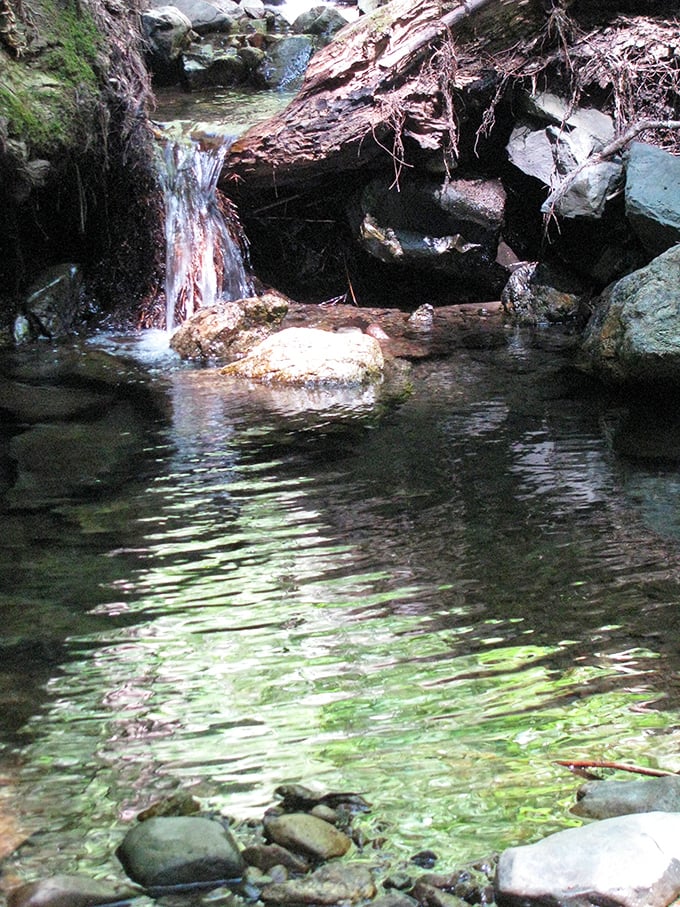 This hidden stream cascades over moss-covered rocks, creating nature's version of a meditation app soundtrack that no digital experience can match.