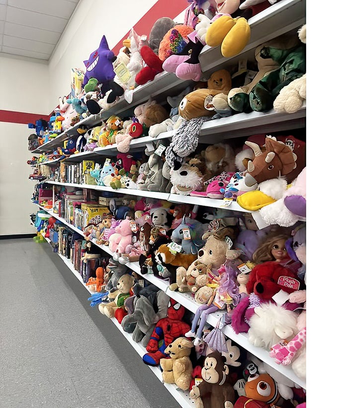 The island of misfit toys isn't so misfit after all—these plush friends stand ready for cuddles and second chances with new owners.