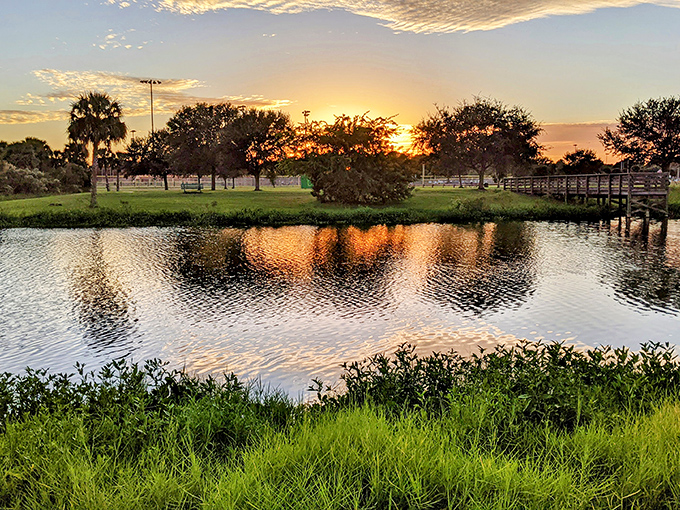 Mother Nature shows off her artistic side with sunset reflections that turn ordinary ponds into extraordinary paintings – Titusville's daily free show.