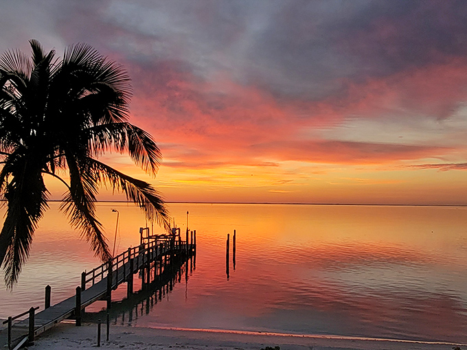 Nature's farewell performance as day turns to night. This sunset doesn't need tickets or reservations – just your full attention.