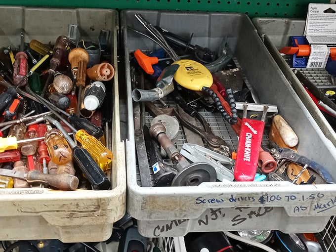 Tool bins: where screwdrivers and wrenches from every decade mingle like guests at a hardware reunion. Craftsmen of yesteryear would recognize their abandoned implements.