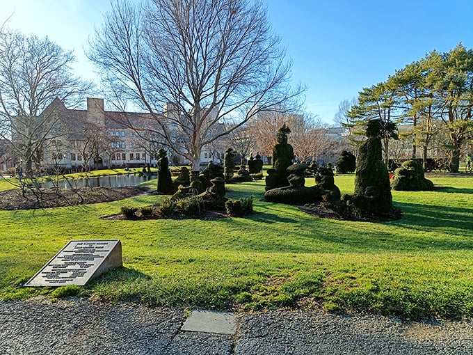 Winter reveals the bones of the garden's design, with dormant topiaries standing like green ghosts against the historical backdrop.