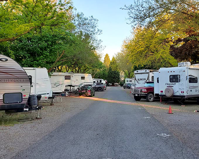 RV living gets the scenic treatment at Yreka's campgrounds. When your temporary neighborhood includes mountain views, why rush home?