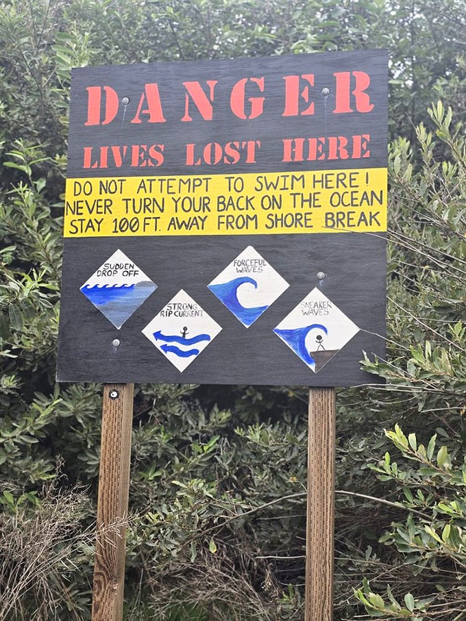 This isn't just friendly advice—it's life-saving wisdom. The Pacific here demands respect, not Instagram bravery.