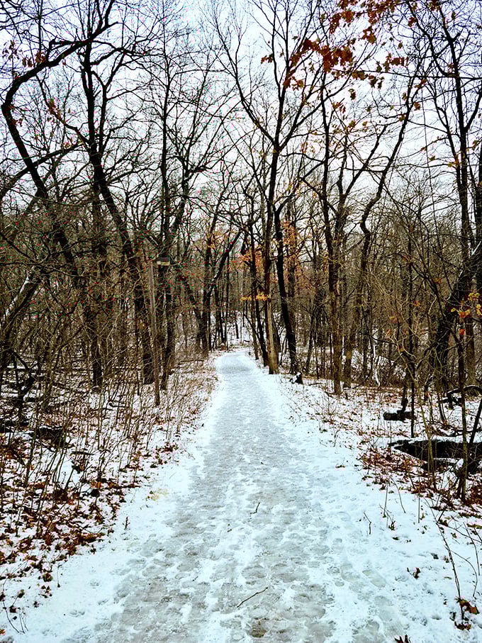Winter's hushed beauty blankets the trail. Snow transforms familiar paths into magical corridors through a landscape that seems borrowed from a fairy tale.