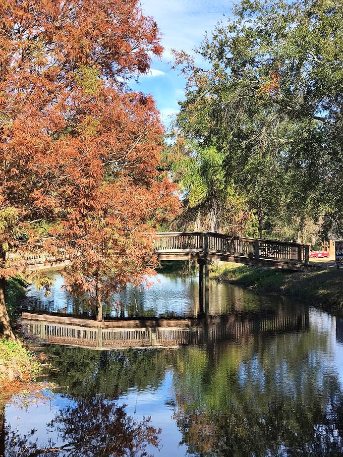 Fall colors reflect in still waters beneath a wooden footbridge. Proof that Florida does indeed have seasons – they're just more subtle than dramatic.
