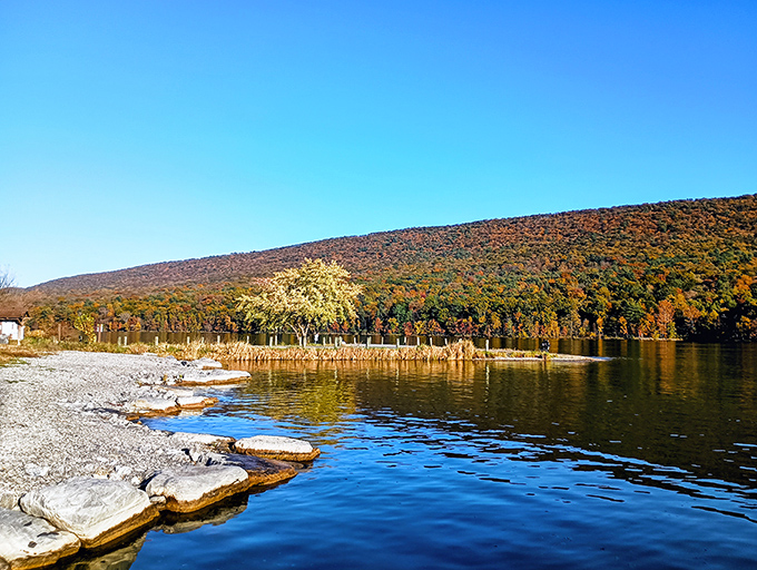 Autumn's greatest performance has no admission fee. The reservoir's shoreline transforms into a painter's palette of reds, oranges, and golds.
