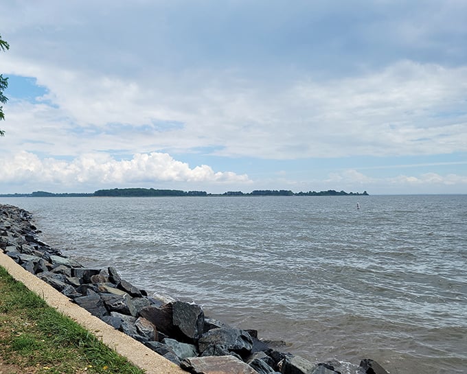 Where land meets water meets sky—Rocky Point's natural breakwater creates a rugged contrast to the peaceful horizon beyond.