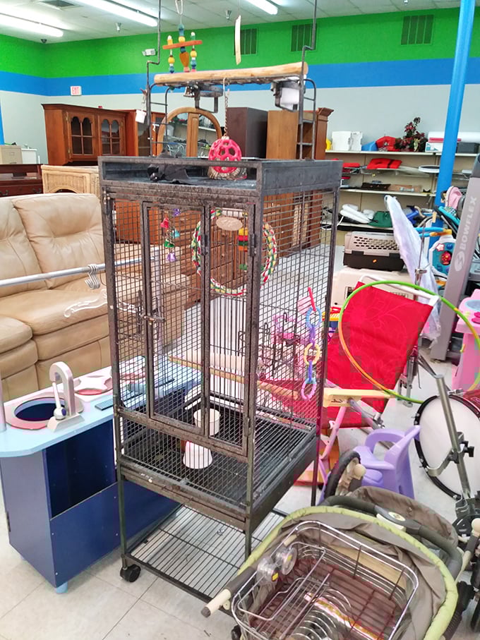Not just for birds! This vintage cage could house feathered friends or become Instagram-worthy décor for the creatively minded shopper.