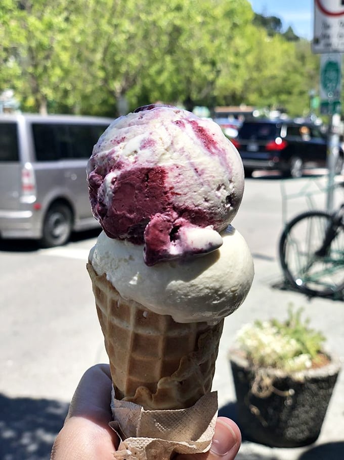 Summer captured in a cone—swirls of berry and cream creating the perfect antidote to an ordinary day.