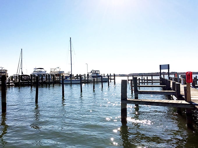 The marina view isn't just pretty—it's a reminder that at The Narrows, your seafood's commute was probably shorter than yours was.
