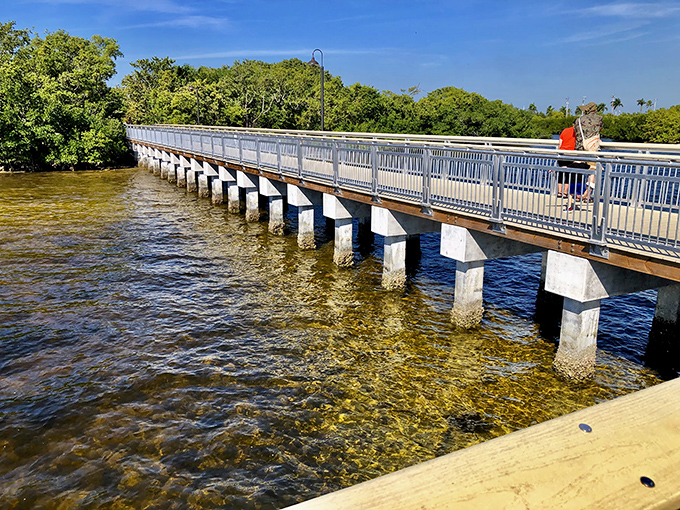 This bridge doesn't just connect land to land—it's a pathway to the Florida that existed before theme parks and high-rises took over.