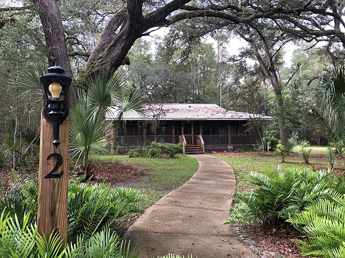 Rustic cabins nestled among palmettos and live oaks – where "roughing it" still includes a real bed and protection from Florida's enthusiastic mosquitoes. 
