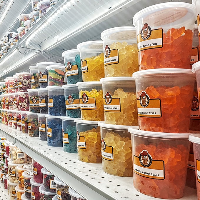Candy bins overflow with childhood dreams, offering sweet nostalgia by the pound in every imaginable flavor.