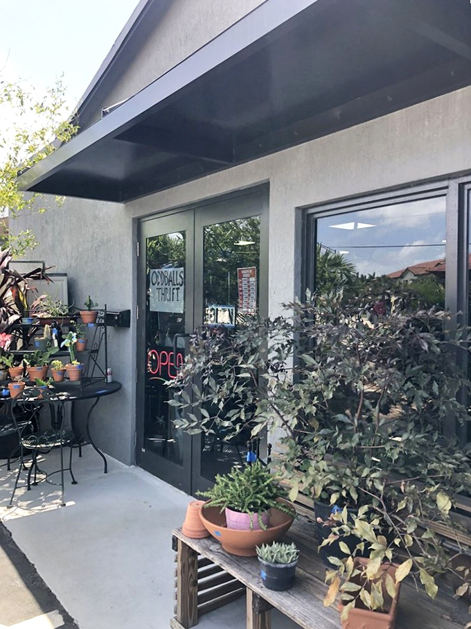 The unassuming entrance to Oddballs is adorned with potted plants, nature's way of welcoming you to this treasure trove.