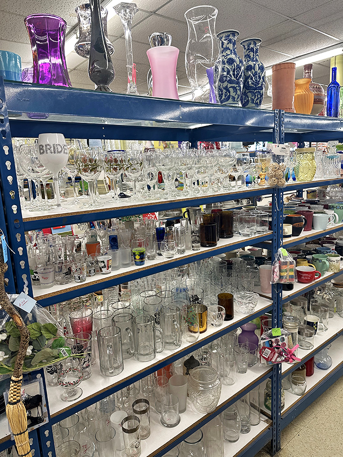 Glassware for every occasion—from "Tuesday night wine" to "fancy dinner party I've been planning for months." No matching sets required.