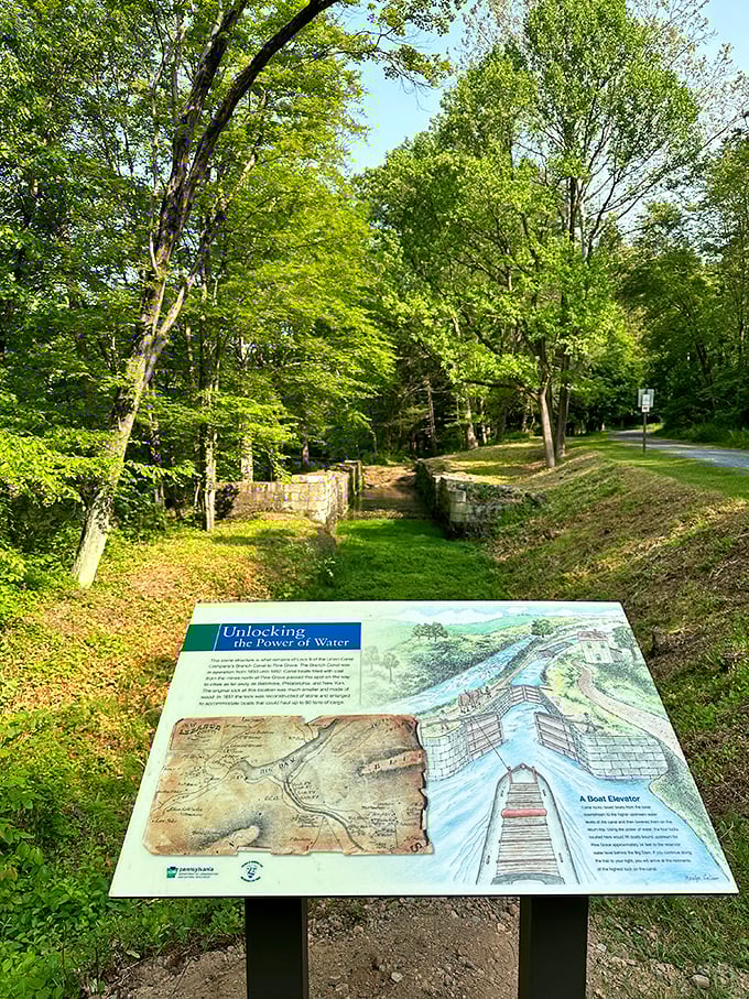 History comes alive through interpretive signs that reveal the park's canal past—proof that PowerPoint presentations existed long before Microsoft got involved.