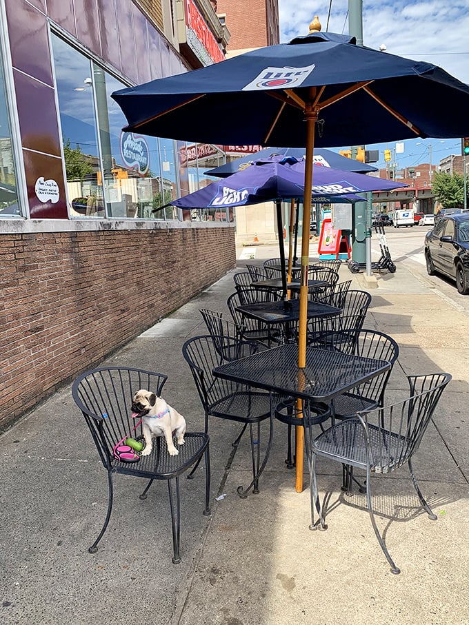 Even the dogs know where the good food is. Outdoor seating that lets you enjoy Memphis breezes with your breakfast.