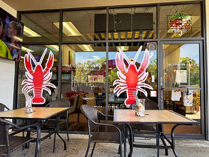 The outdoor seating area, complete with lobster-adorned windows, offers al fresco dining where the only thing fresher than the air is the seafood.