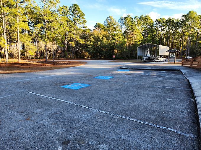 Even the parking area at Lake Waccamaw feels peaceful. Your car might just refuse to leave this tranquil spot.