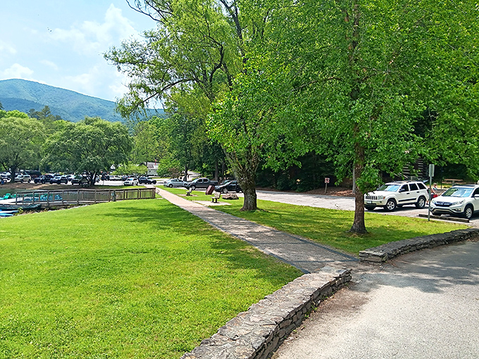 Even the parking area at Vogel offers mountain views—perhaps the only place where finding a spot feels like part of the vacation.