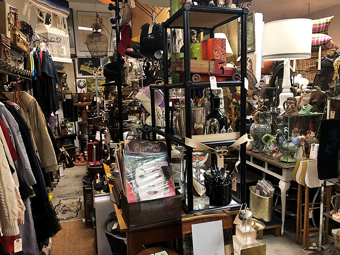 Every aisle tells a story, every shelf a new chapter—this corridor of collectibles makes Marie Kondo's worst nightmare and a treasure hunter's dream.