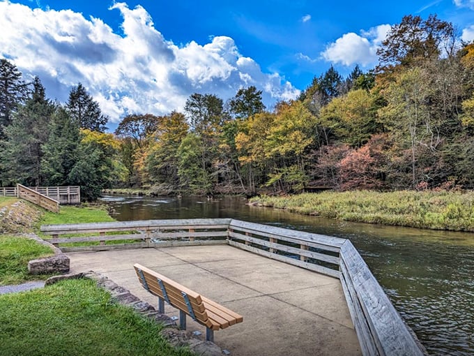 This riverside viewing platform isn't just a deck – it's front-row seating to nature's greatest show. The perfect spot for contemplating life's big questions.
