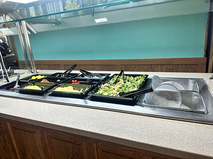 The salad bar – nature's apology for what you're about to do to your diet. A token gesture of vegetables before the comfort food storm.