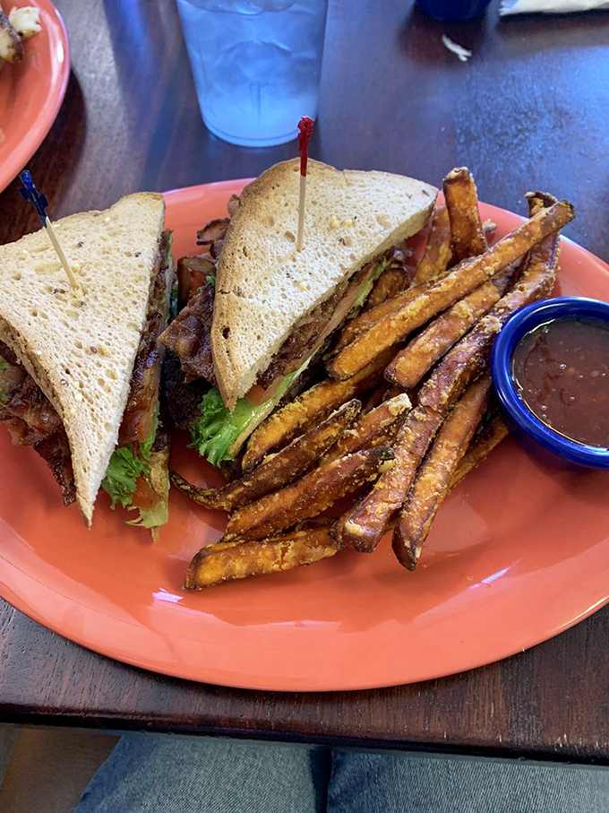A sandwich built with intention, not just assembled. Those sweet potato fries aren't merely a side—they're co-stars in this lunch production.