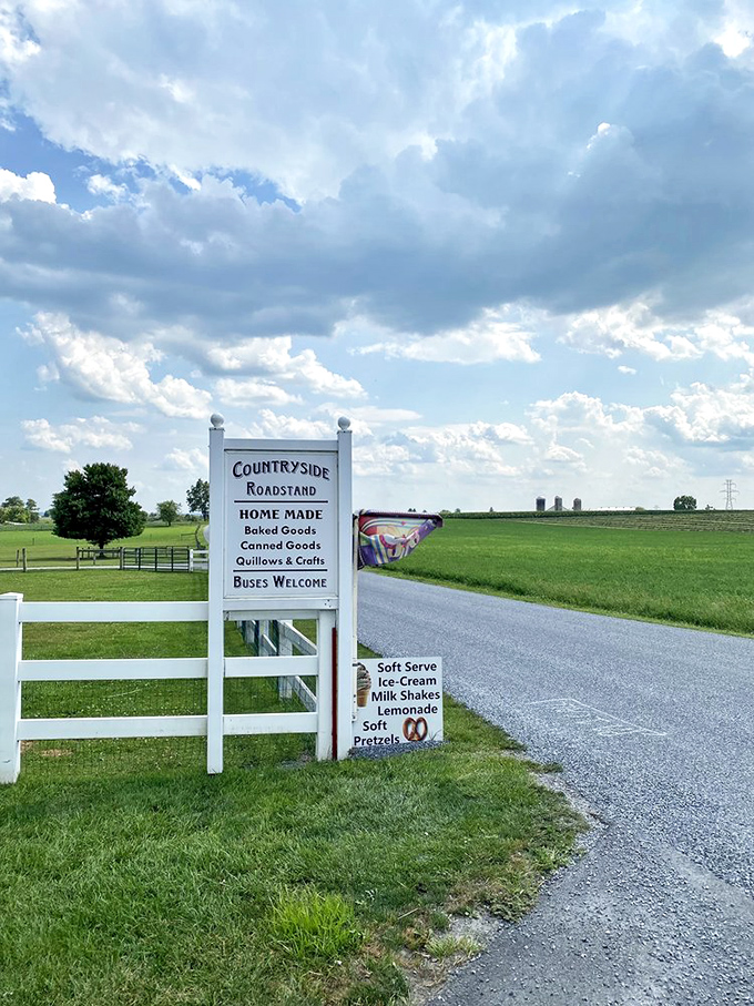 The roadside sign stands like a beacon of hope for hungry travelers. "Civilization ahead—and they have pretzels!"