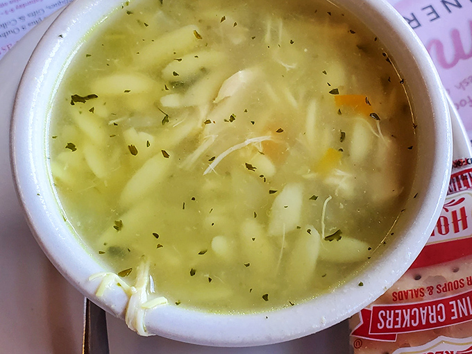 A steaming bowl of homemade chicken soup, swimming with noodles and herbs—the universal language of "someone cares about you" in liquid form.