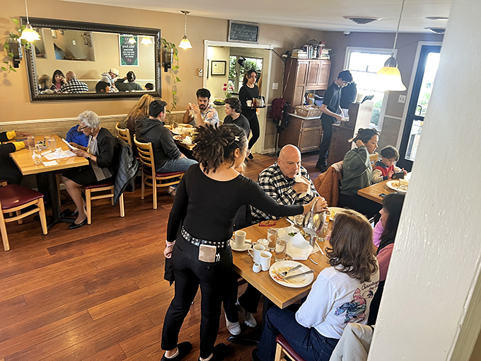 The choreography of a busy dining room—servers gliding between tables with the practiced grace of people who genuinely love feeding others.
