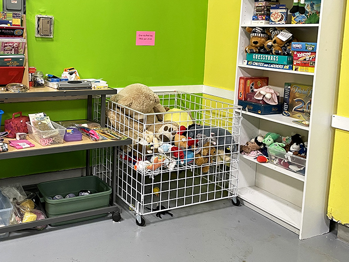 The toy bin—where abandoned stuffed animals wait patiently for their "Toy Story" moment of being loved again by a child who won't care they're pre-hugged.