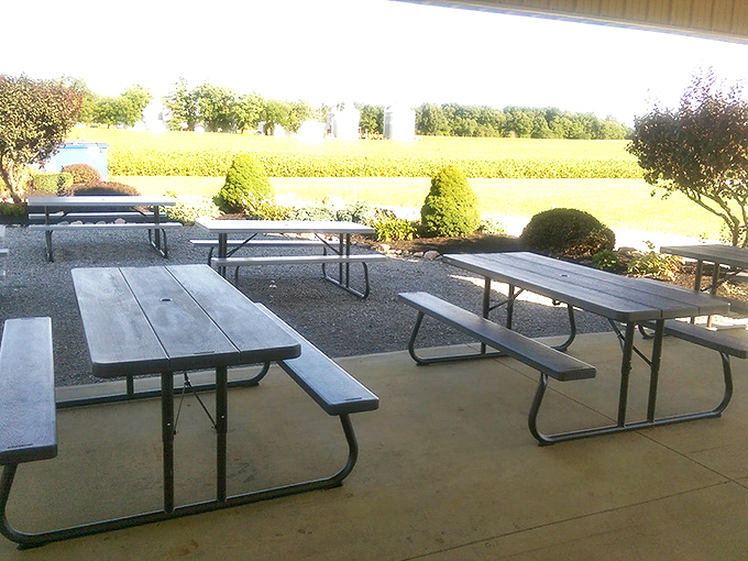 Picnic tables under cover where time slows down and conversations actually happen between real people.