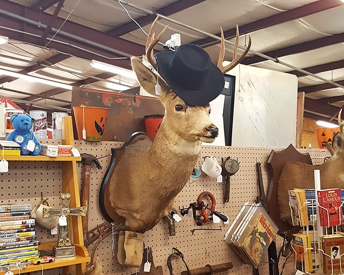 This dapper deer wearing a fedora gives new meaning to "dressed to impress." The ultimate conversation starter for your cabin or man cave.