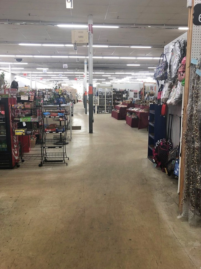 The wide, well-lit aisles invite exploration, each turn promising new discoveries—like a department store designed by someone with delightful hoarding tendencies.