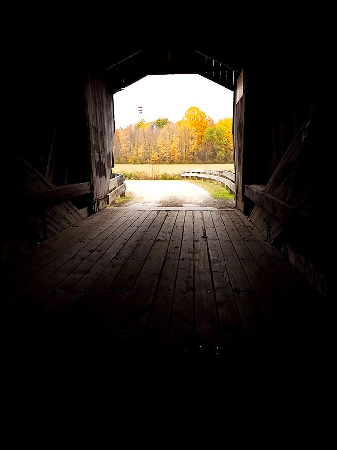 Inside the covered bridge, dappled sunlight creates cathedral-like atmosphere without the collection plate.