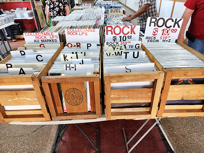Vinyl records organized by alphabet and genre—a system that makes perfect sense until you debate whether Queen belongs under "Q" or "Rock."