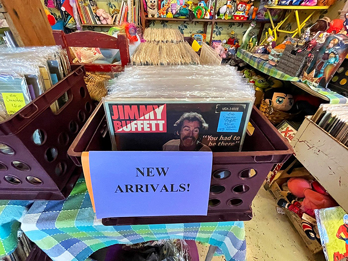 New arrivals in the vinyl section include Jimmy Buffett – because nothing says "vintage treasure" like discovering the soundtrack to your college road trips.