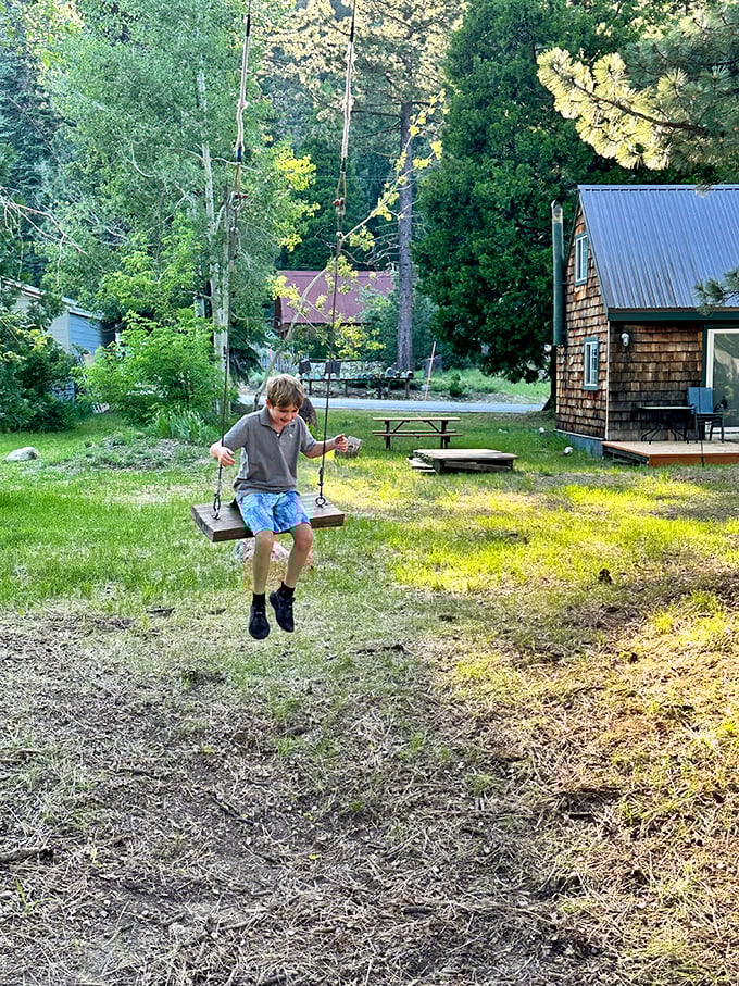 Childhood simplified to its essence. A wooden swing, summer sunshine, and no iPad in sight—some joys never need upgrading.