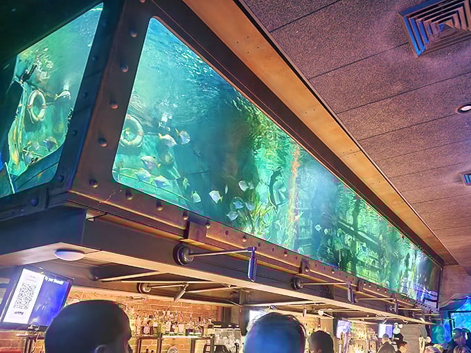 Fish glide through crystal-clear water above the bar – nature's television, but with better programming and no commercials.