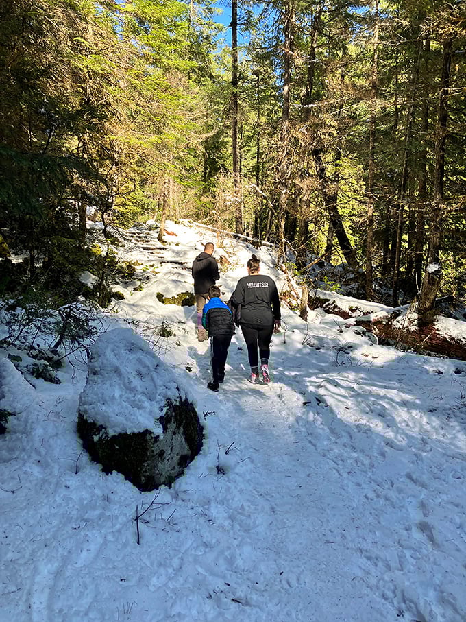Winter hikers forge ahead through snow-dusted trails. The cold season offers Toketee's beauty with a side of peaceful solitude.